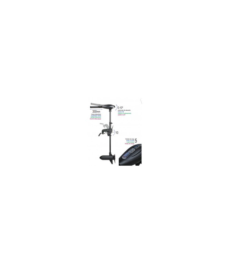Variklis Haswing PULSAR 1.5 - 12V 55lbs